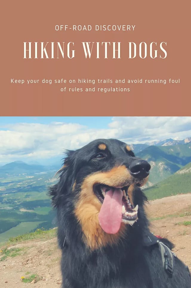 Hiking with Dogs | Off-Road Discovery