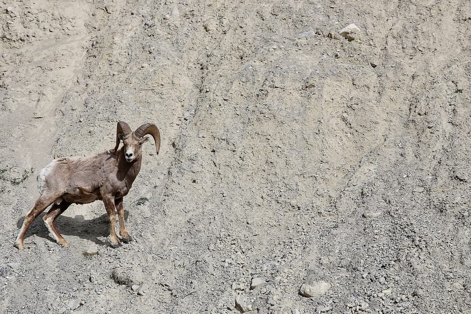 4 Western Canada National Parks to Add to Your Bucket List | Off-Road ...