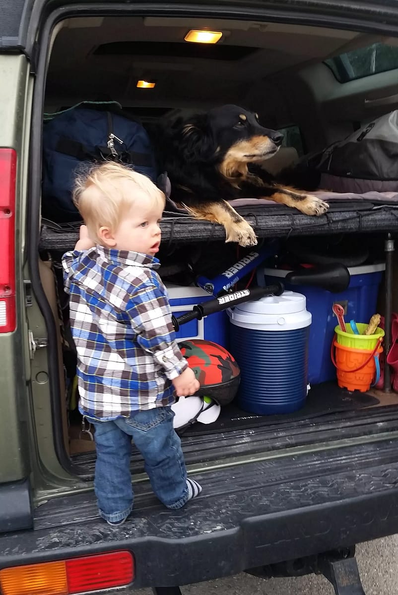 How to Build a Bed and Shelving System in a Land Rover | Off-Road Discovery