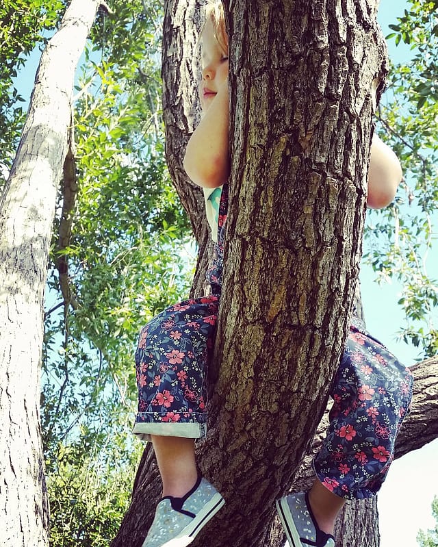 Outdoor Play for Kids - 3 Tree Themed Activities | Off-Road Discovery