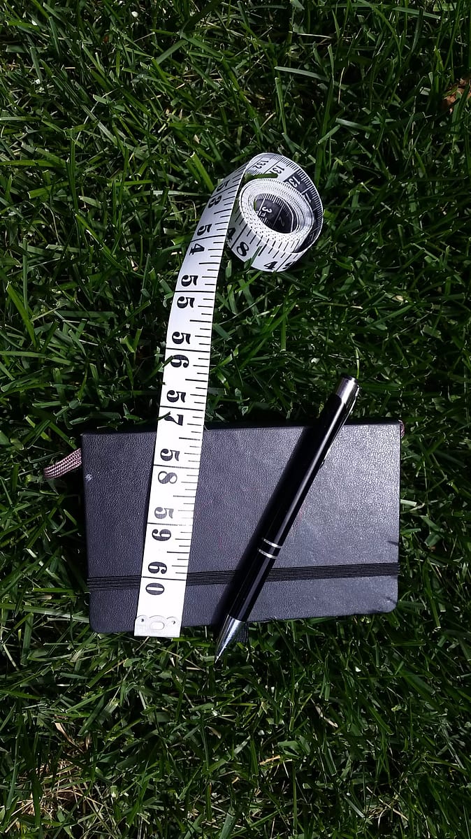 Outdoor Play for Kids - 3 Tree Themed Activities | Off-Road Discovery