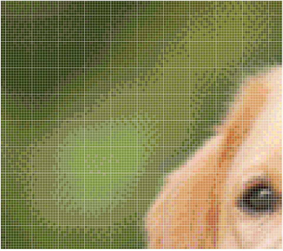 Step-by-Step Guide to Charting with Thread-Bare | Thread Bare